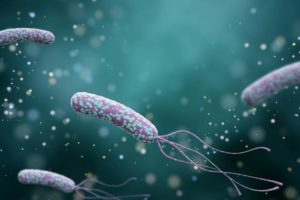 Heliko bakterija - koji su simptomi i kako se leči? | Moja Praktika